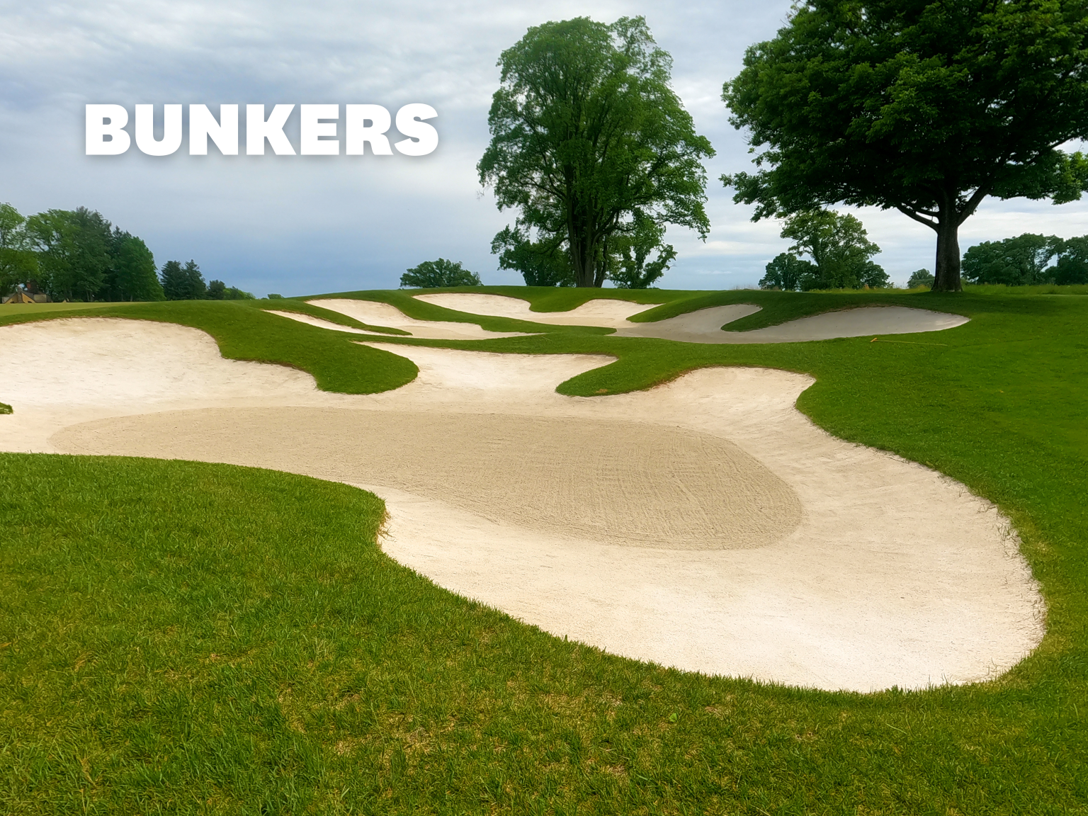 Most bunkers are easily defined by the edges of the turf surrounding ...